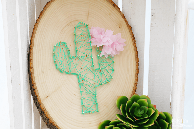 Cactus / Succulent Themed Party Ideas & Decorations