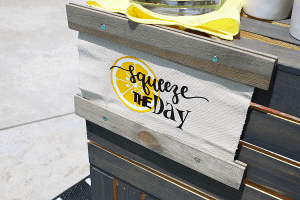 Squeeze the Day with a Summer DIY Lemonade Stand - Michelle's Party Plan-It